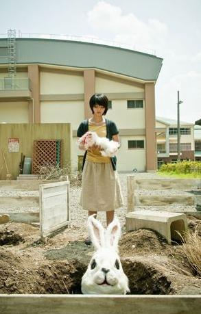 Image gallery for Tormented (Rabbit Horror 3D) - FilmAffinity