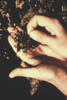 Tree of Knowledge (1981) - FilmAffinity