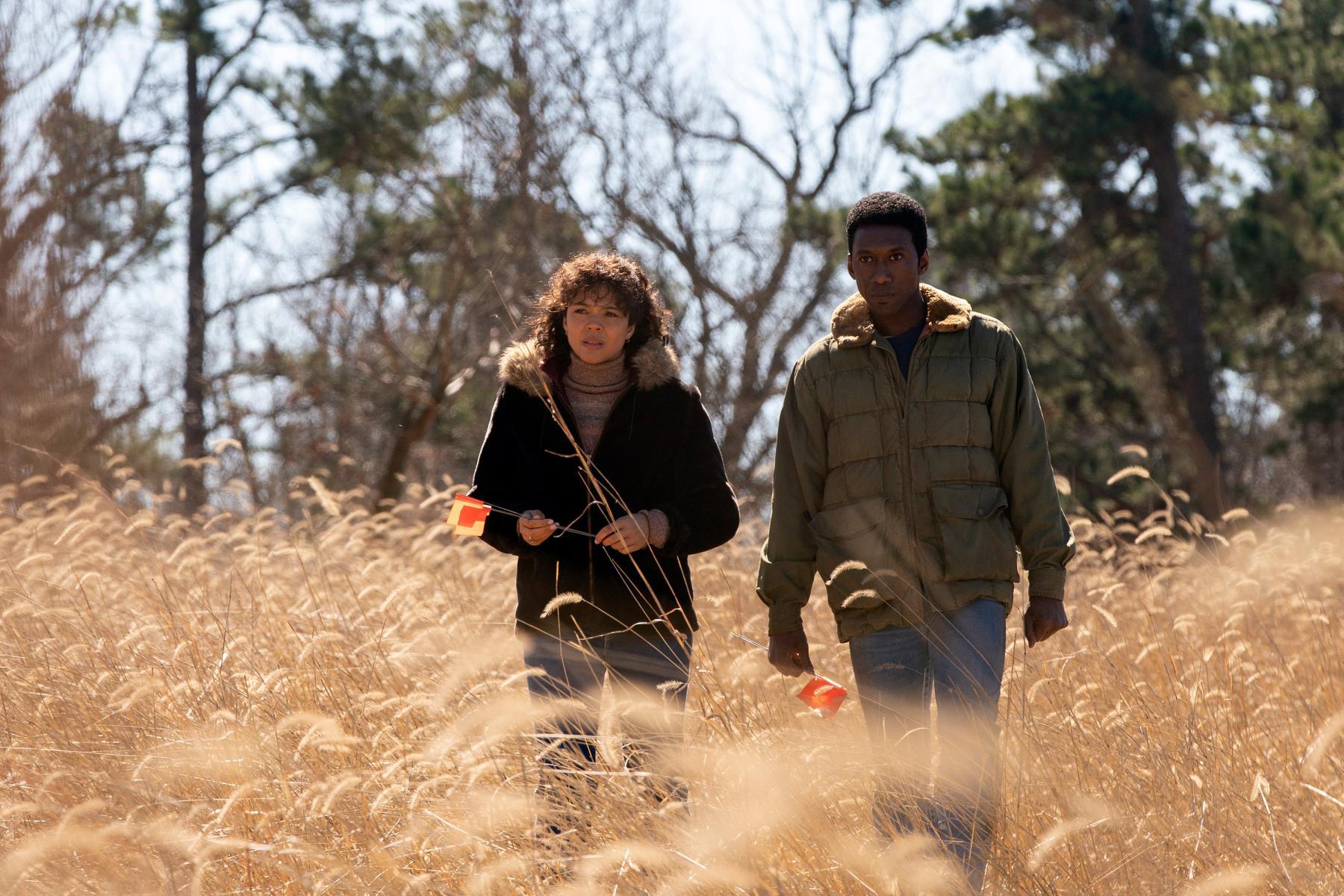 Sección visual de True Detective III (Miniserie de TV) - FilmAffinity