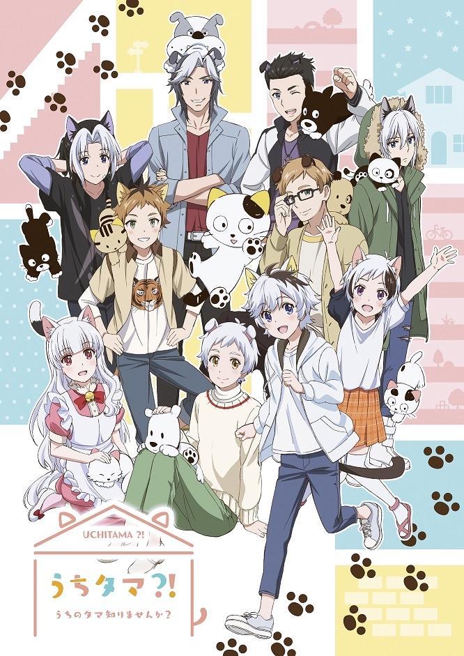 Image gallery for Uchi Tama!? Uchi no Tama Shirimasen ka? (TV Series ...