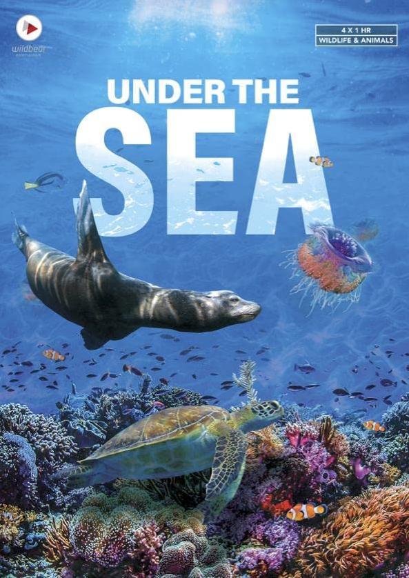 Sección visual de Under the Sea (Miniserie de TV) - FilmAffinity