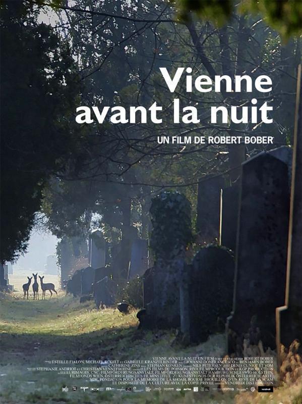 Image gallery for Vienna Before Nightfall - FilmAffinity