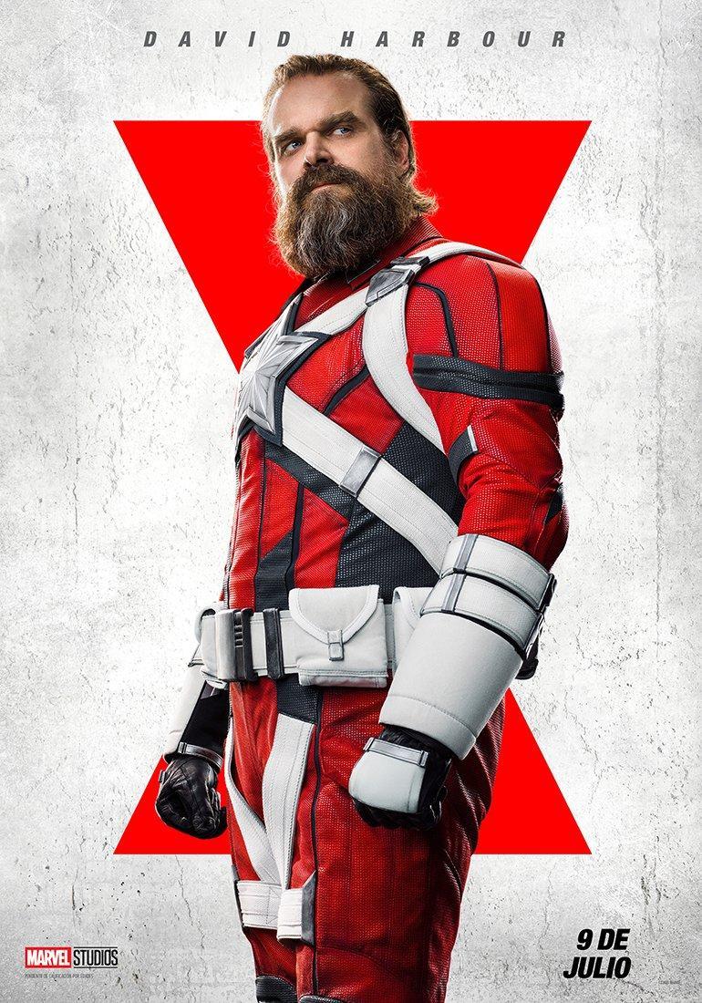 Sección visual de Viuda negra - FilmAffinity