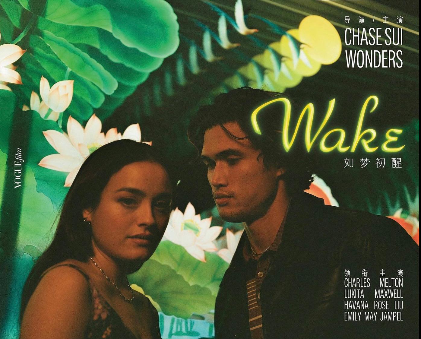 Sección visual de Wake (C) - FilmAffinity