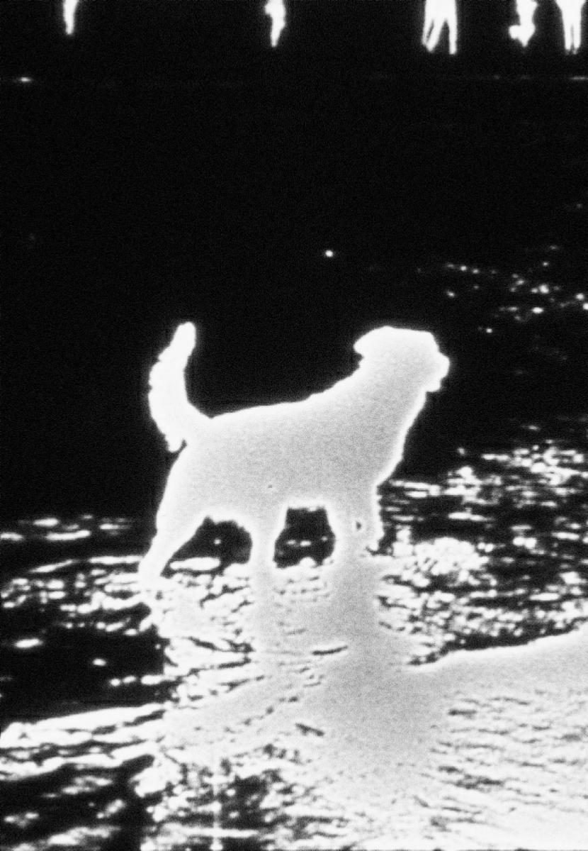 Sección visual de Waterfall (C) - FilmAffinity