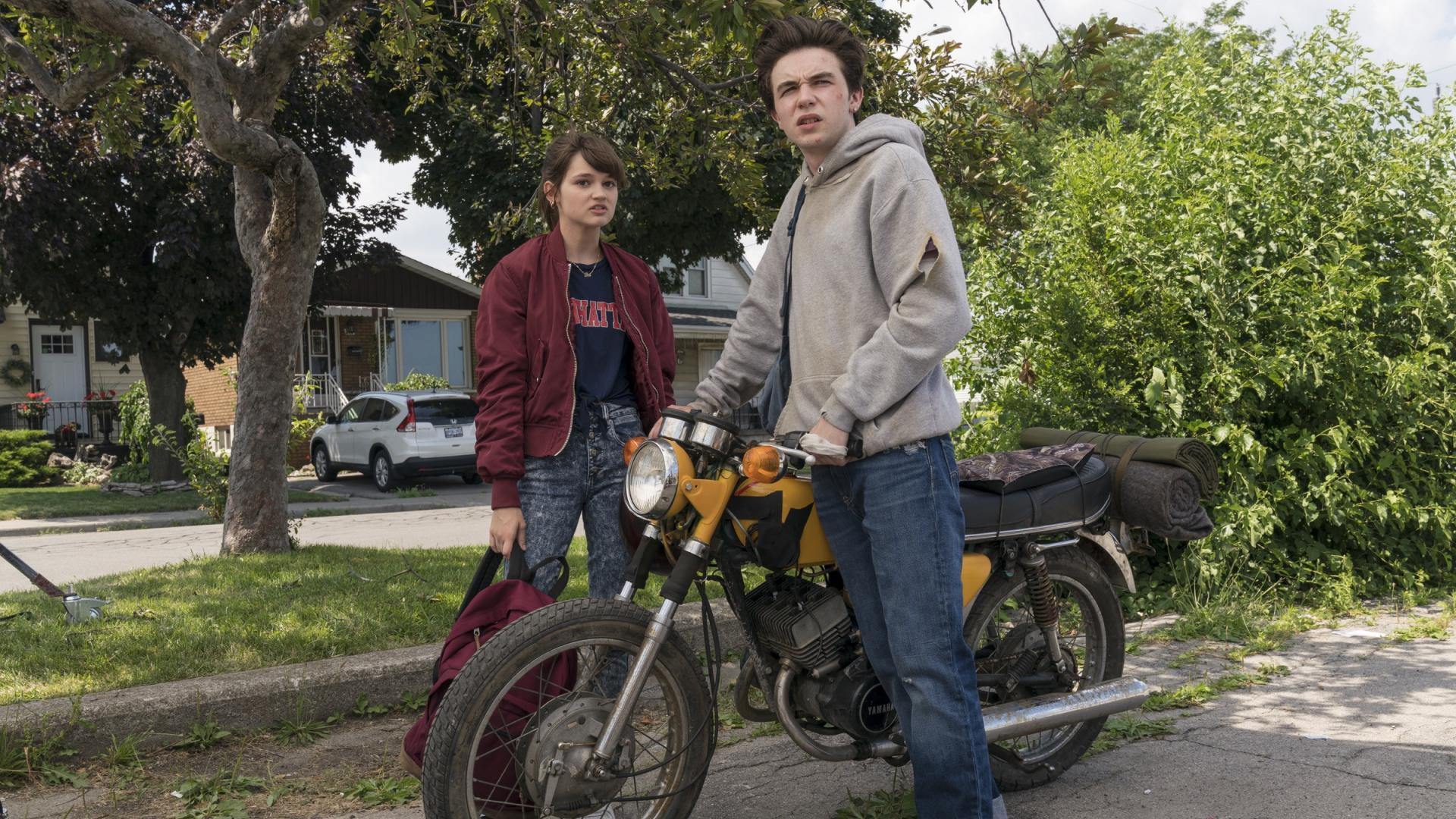 Sección visual de Wayne (Serie de TV) - FilmAffinity