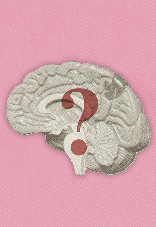 Sección visual de What do all languages have in common? (C) - FilmAffinity