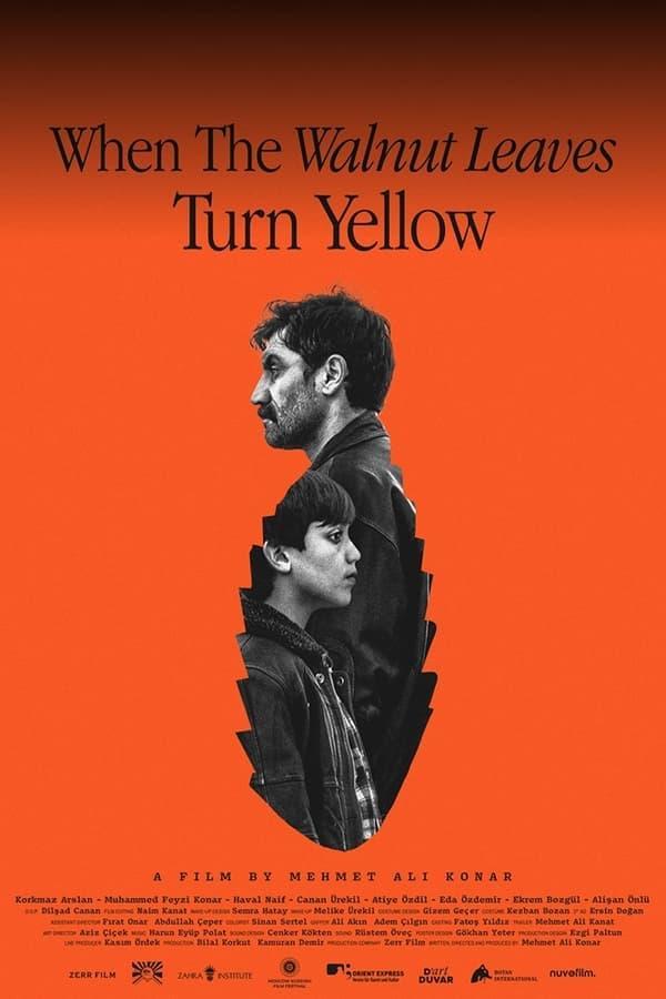 Image gallery for When the Walnut Leaves Turn Yellow - FilmAffinity