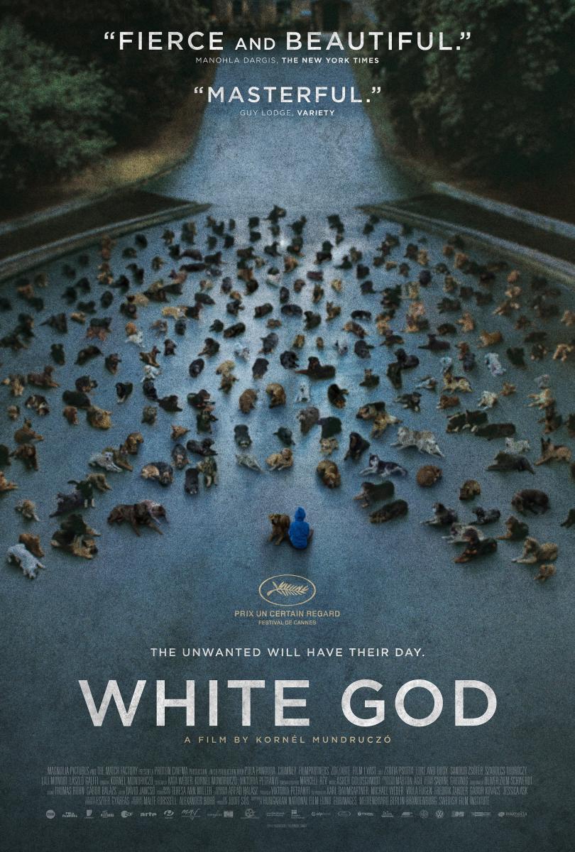 Sección visual de White God (Dios blanco) - FilmAffinity