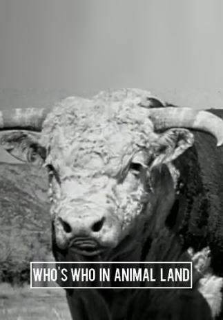 Image gallery for Who's Who in Animal Land (S) (S) - FilmAffinity