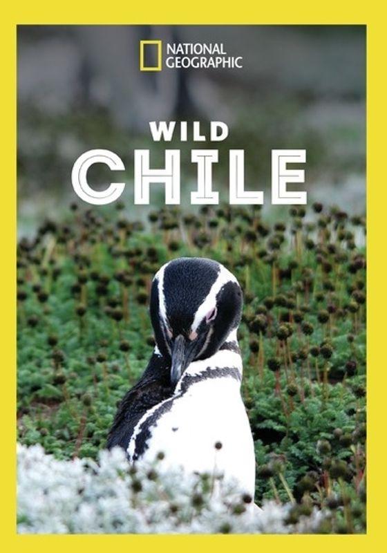 Image gallery for Wild Chile (TV Miniseries) - FilmAffinity