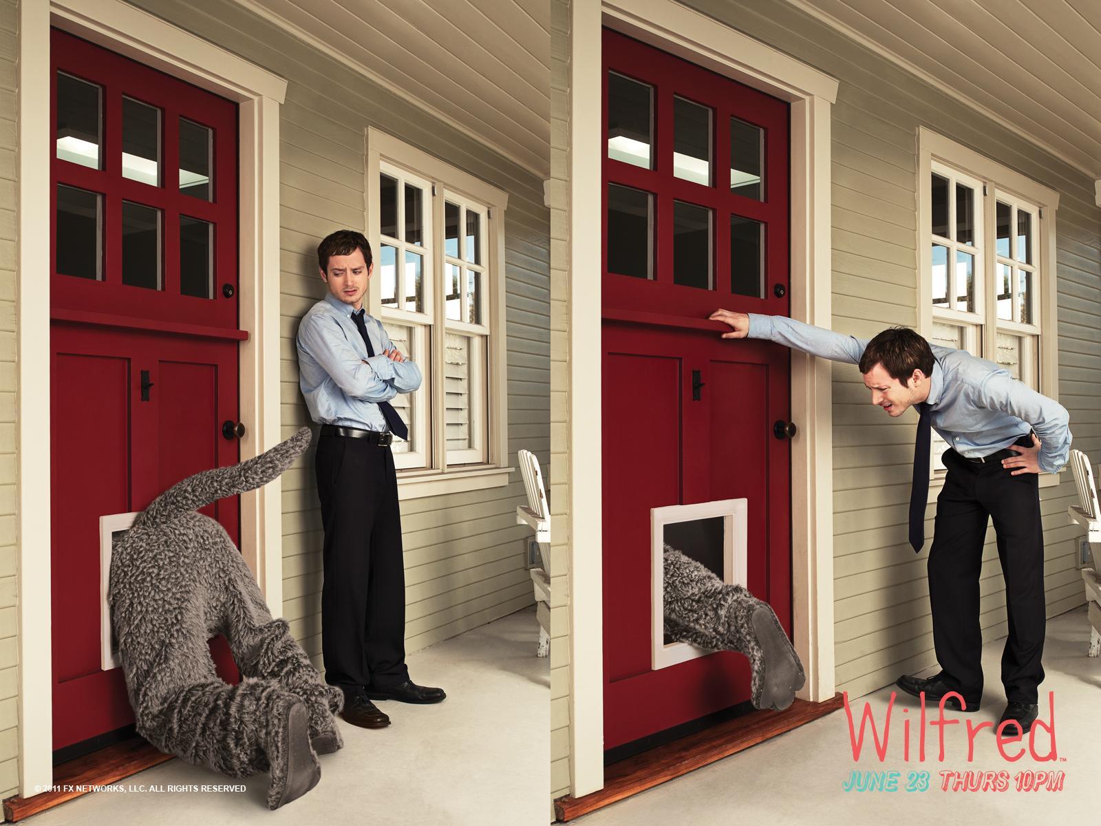 Sección visual de Wilfred (Serie de TV) - FilmAffinity