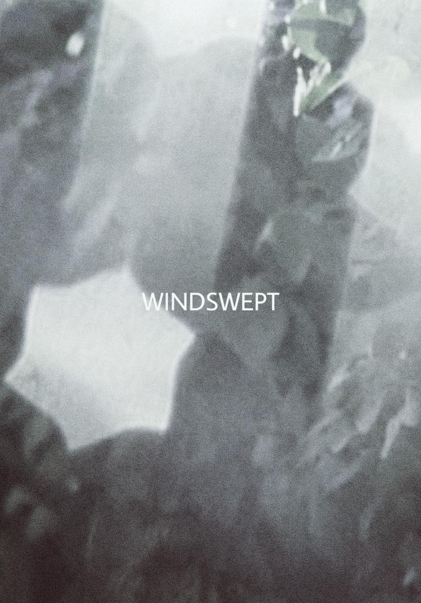 Image gallery for Windswept (S) - FilmAffinity