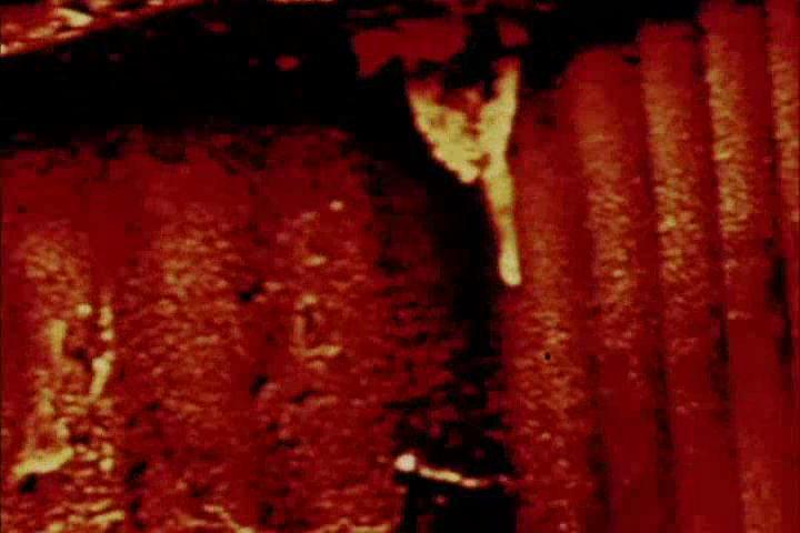 Image gallery for Winter Solstice - FilmAffinity
