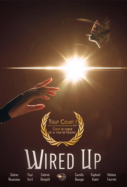 Sección visual de Wired Up (C) - FilmAffinity