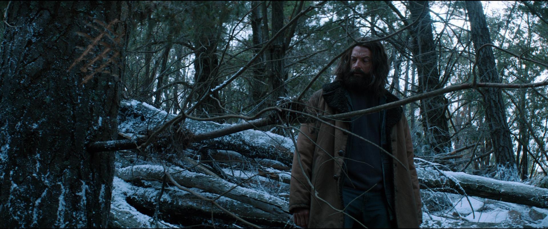 Sección visual de Wolverine Inmortal - FilmAffinity