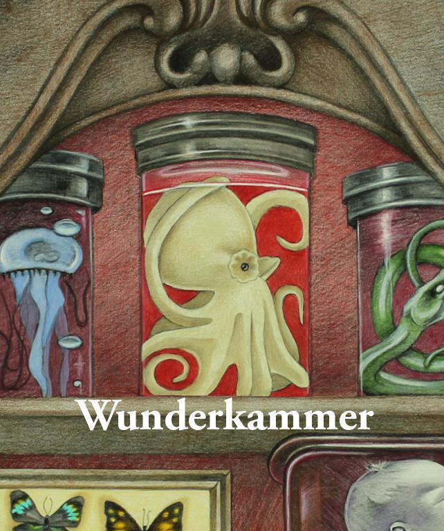 Sección Visual De Wunderkammer C Filmaffinity