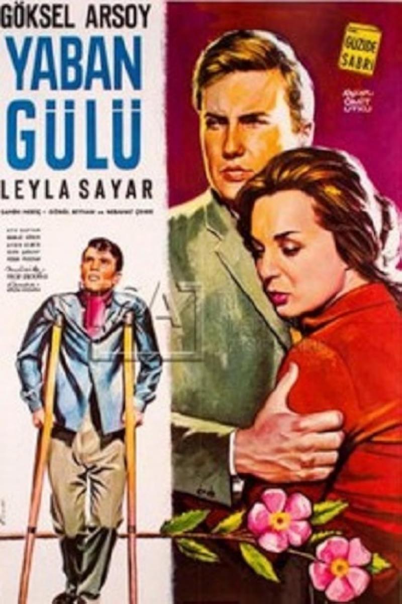 Image gallery for Yaban gülü - FilmAffinity