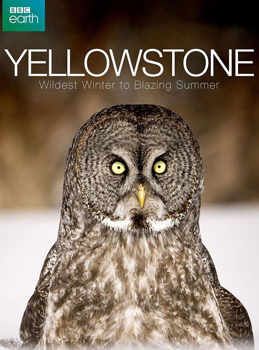 Image gallery for Yellowstone: Wildest Winter to Blazing Summer (TV ...