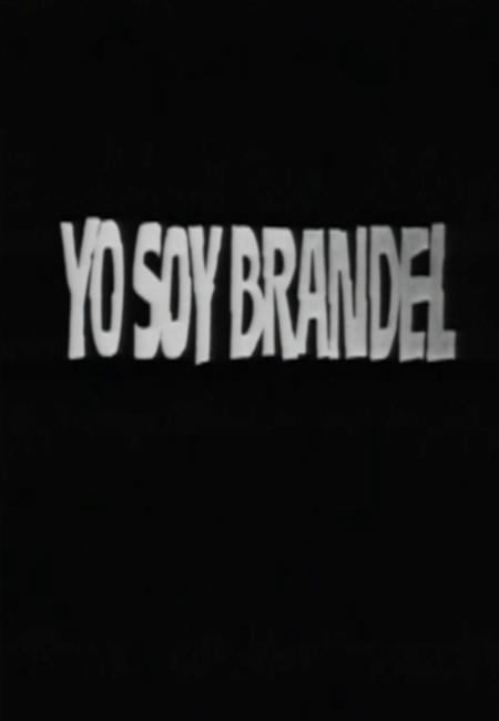 Sección visual de Yo soy Brandel (TV) - FilmAffinity