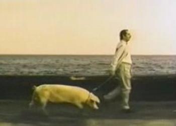 Sección visual de Yo tuve un cerdo llamado Rubiel (C) - FilmAffinity