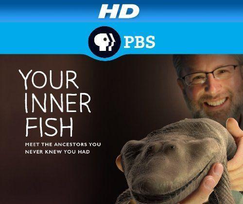 Image gallery for Your Inner Fish (TV Series) - FilmAffinity
