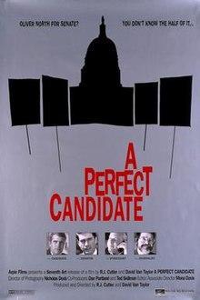 A Perfect Candidate (1996) - FilmAffinity
