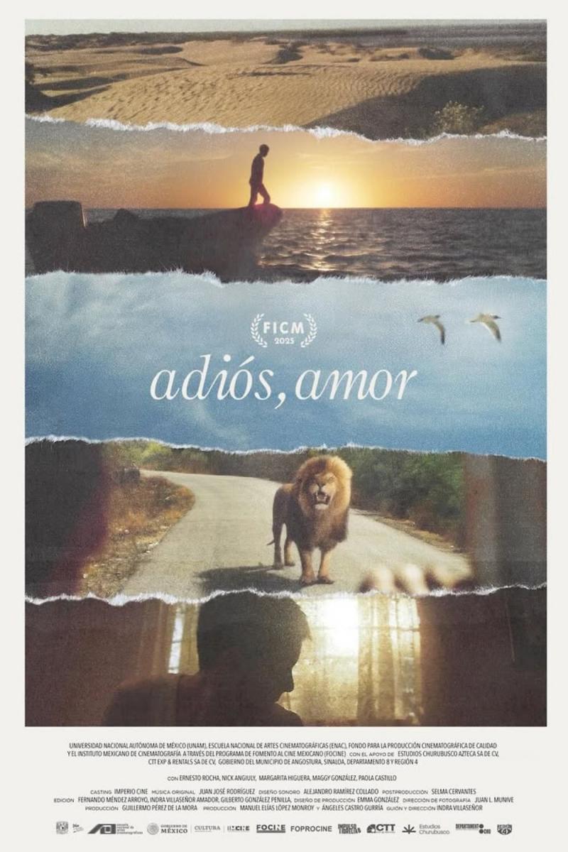 Adiós, amor (2025) - FilmAffinity