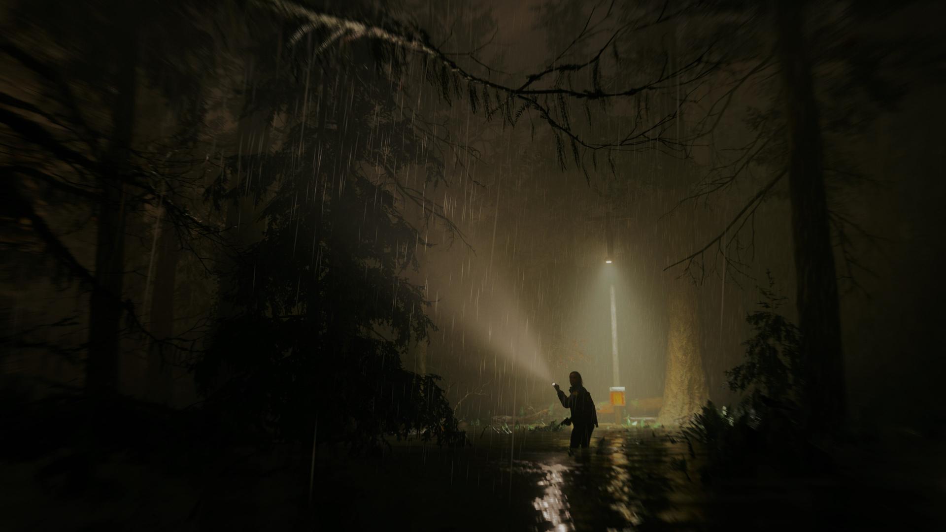 Sección visual de Alan Wake II - Filmaffinity