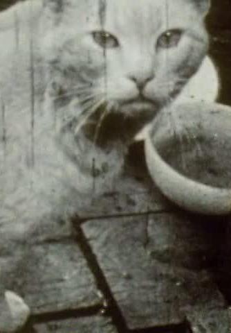 Image gallery for Aleph (S) - FilmAffinity