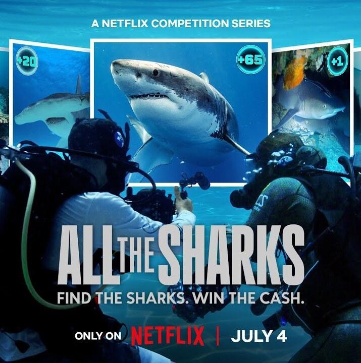 Image gallery for All the Sharks (TV Series) - FilmAffinity