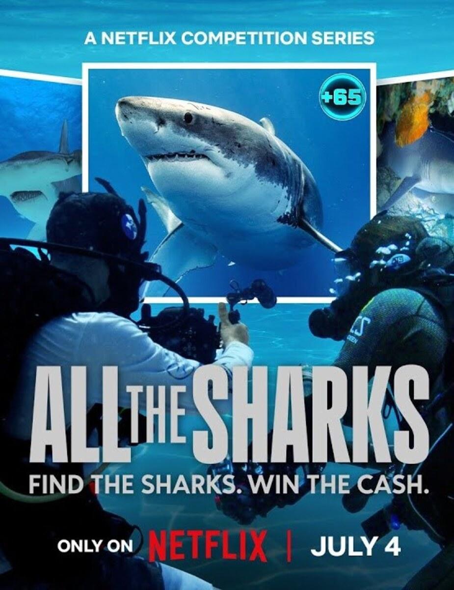 Image gallery for All the Sharks (TV Series) - FilmAffinity