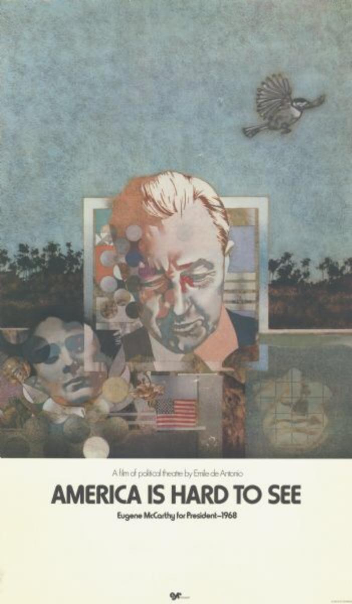 Image gallery for America Is Hard to See - FilmAffinity