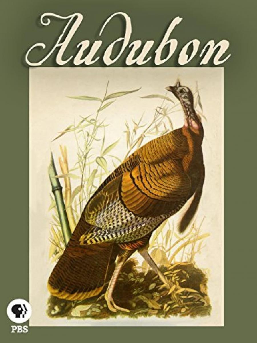 Audubon (2017) - FilmAffinity
