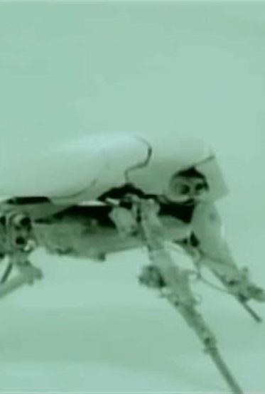 Autechre: Second Bad Vilbel (Vídeo musical) (1996) - FilmAffinity