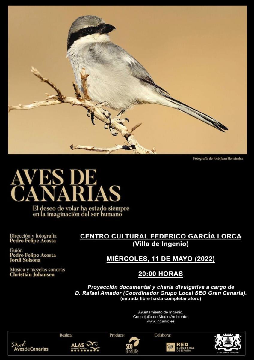 Aves de canarias (2021) - Filmaffinity