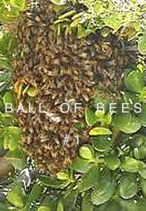 Críticas de Ball of Bees (C) (2002) - FilmAffinity