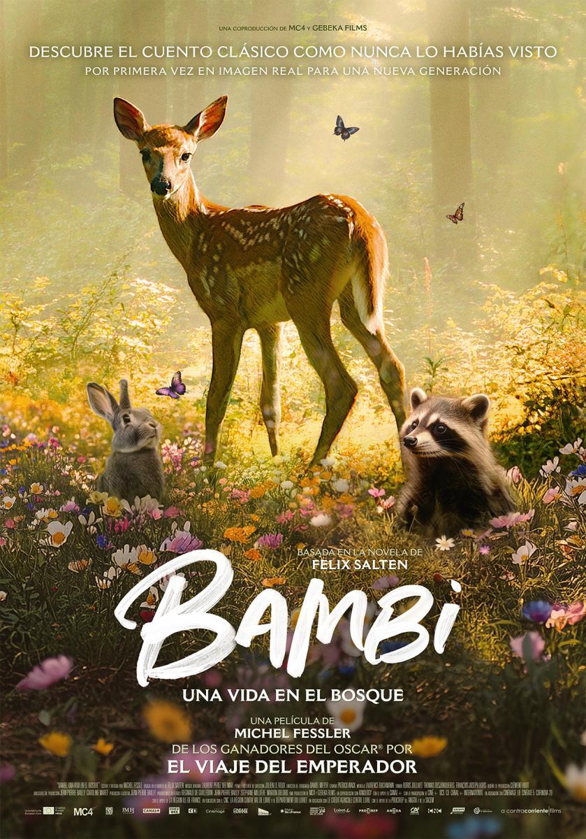 Image gallery for Bambi, A Tale of Life in the Woods - FilmAffinity
