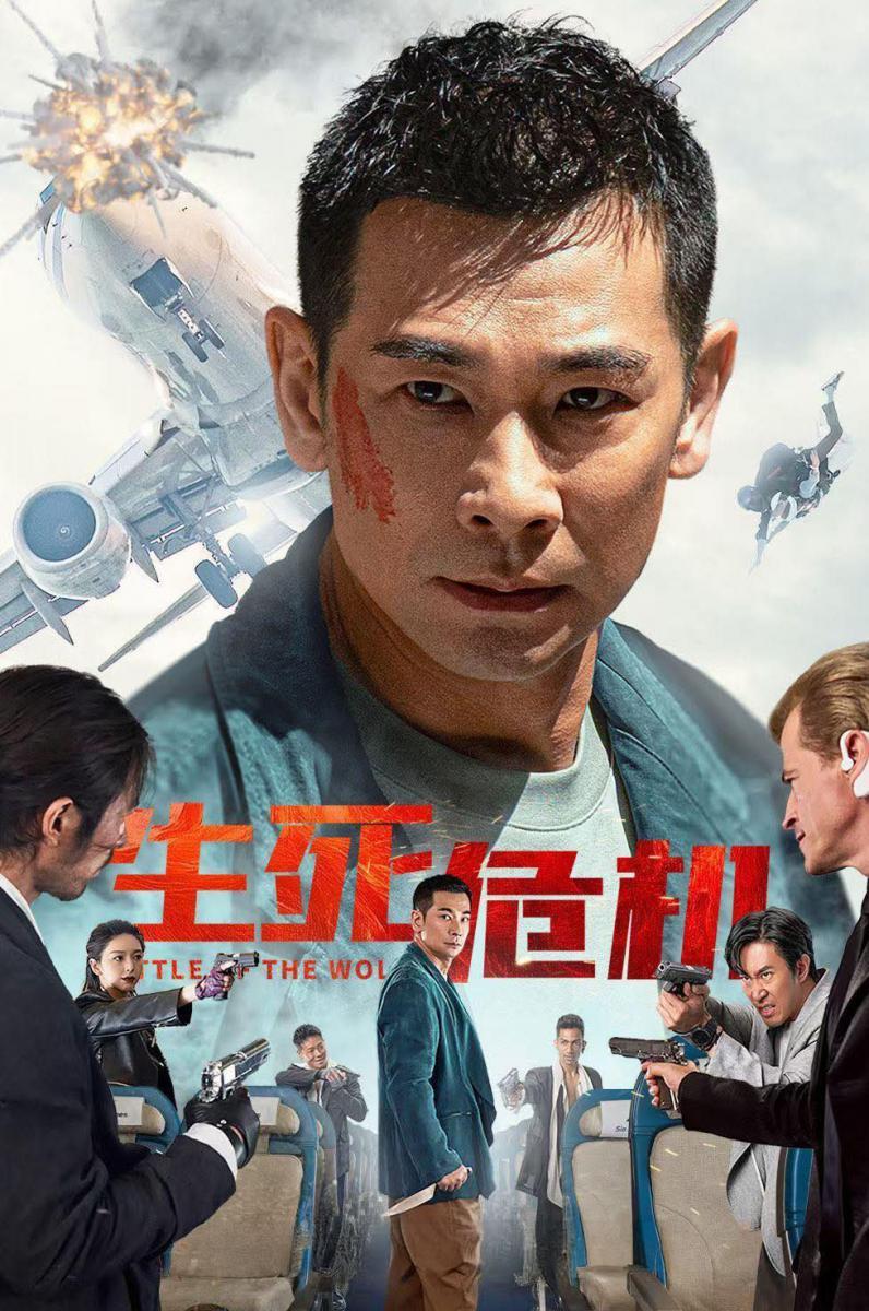 Battle of the Wolf (2025) - FilmAffinity