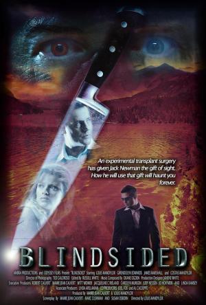Blindsided (2018) - Filmaffinity