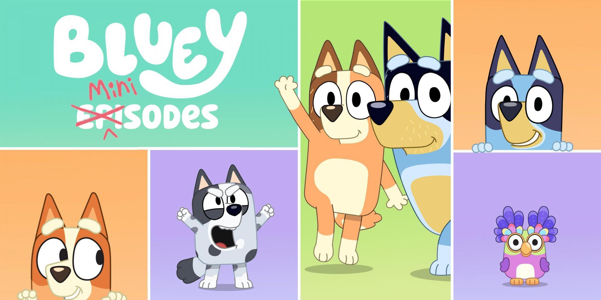 Image gallery for Bluey Minisodes (TV Series) - FilmAffinity