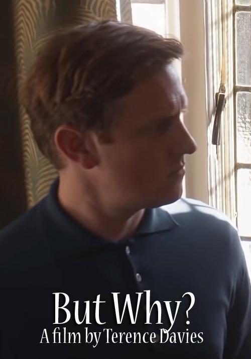But Why? (C) (2021) - FilmAffinity