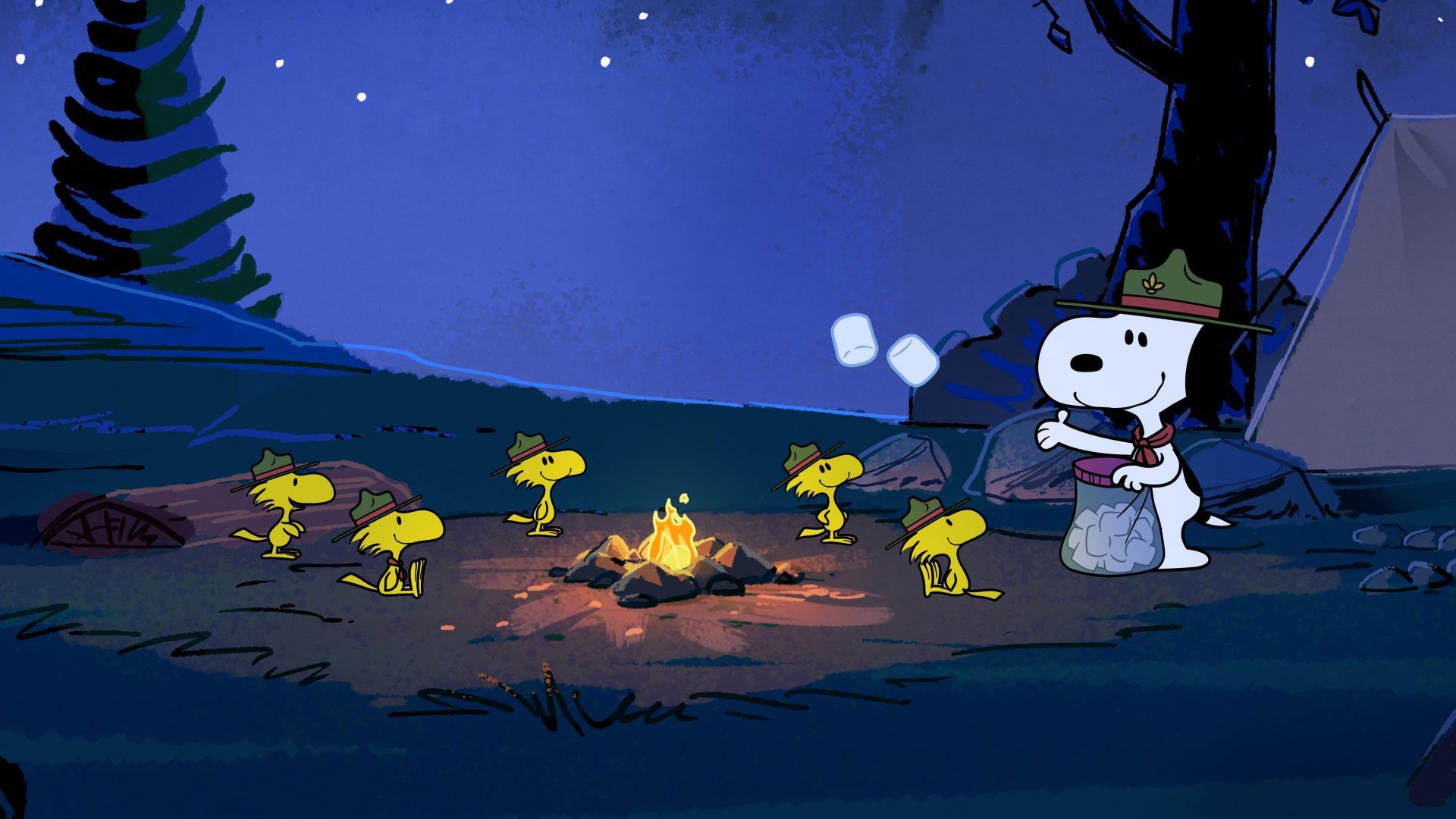 Sección visual de Campamento Snoopy (Serie de TV) - FilmAffinity