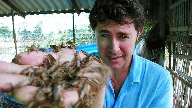 Image gallery for Can Eating Insects Save the World? - FilmAffinity