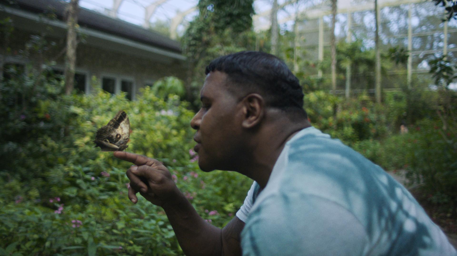 Caterpillar (2023) - FilmAffinity
