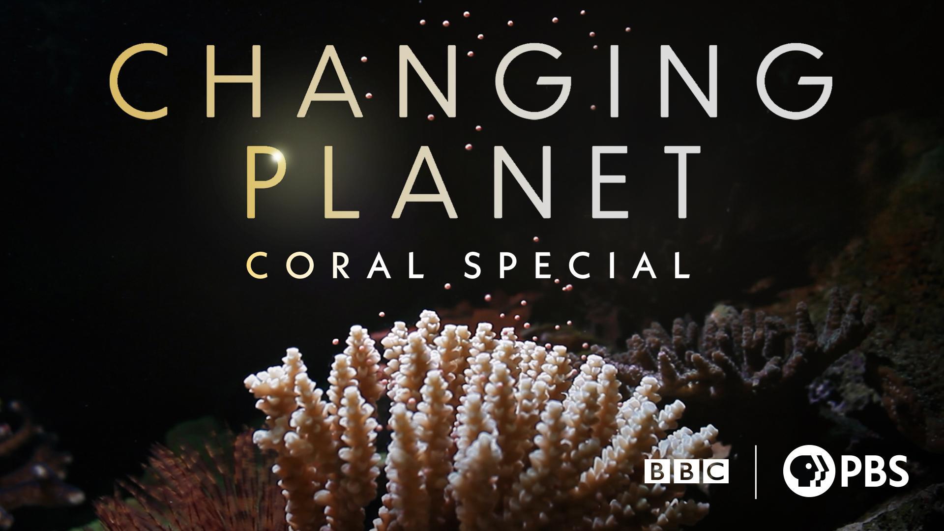 Image gallery for Changing Planet: Coral Special - FilmAffinity