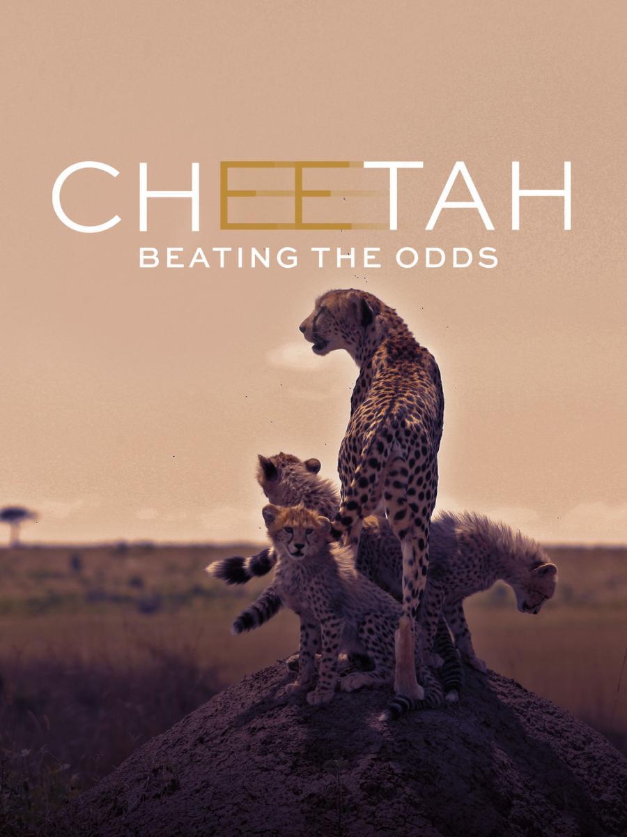 Image gallery for Cheetah: Beating the Odds - FilmAffinity