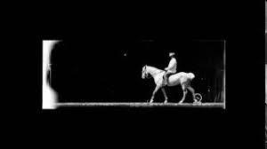 Image gallery for Cheval (Bixio). Pas monté (S) - FilmAffinity