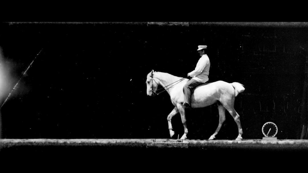Sección visual de Cheval (Bixio). Pas monté (C) - FilmAffinity