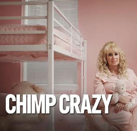 Sección visual de Chimp Crazy (Serie de TV) - FilmAffinity